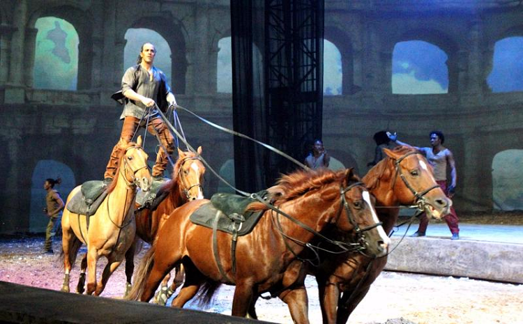 CAVALIA舞马 全世界最美的演出本周开幕