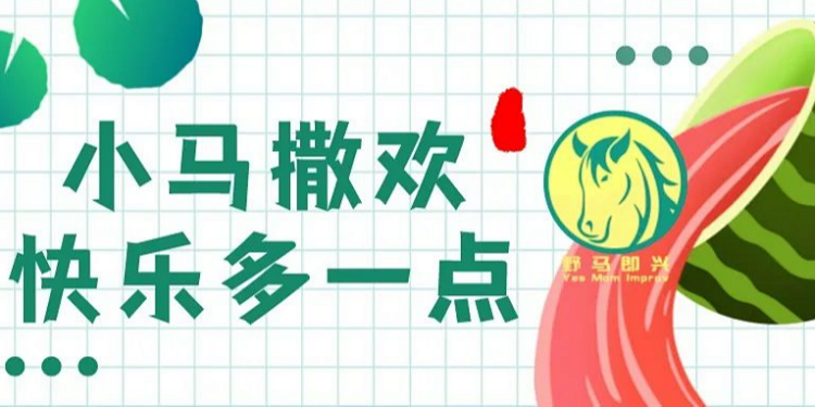 野马即兴